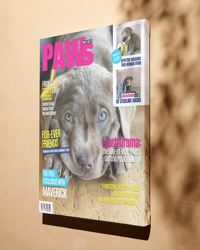 Personalized Paws Weekly Canvas – The Wonder Piece